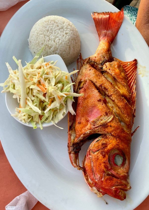 Complete travel guide for visiting ISLA MARGARITA, Venezuela – Travel ...